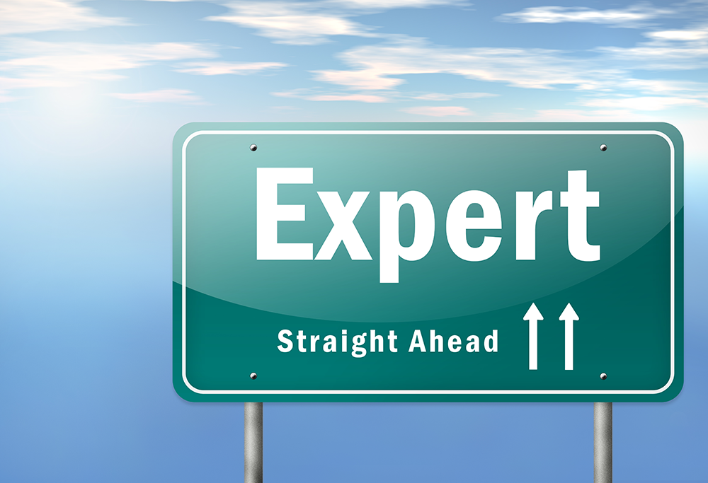 Experts - Team Economics